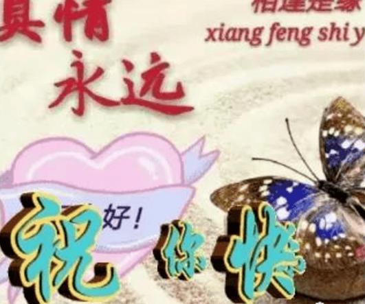 最美的缘分图标
