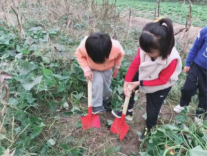 咋关机了闭多多农场的悬浮窗图标