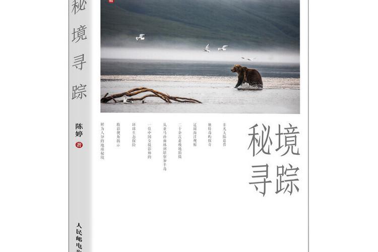 我的世界最难找的遗迹图标