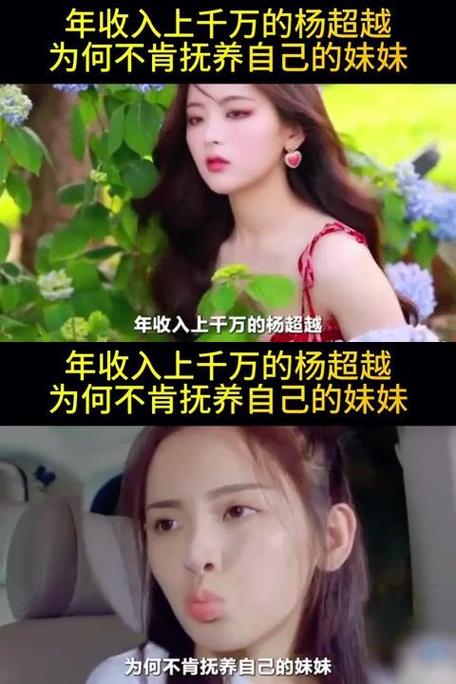 杨超越的收入情况图标