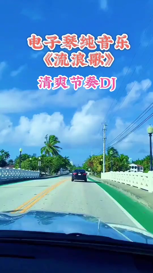 流浪歌dj版劲爆完整版截图