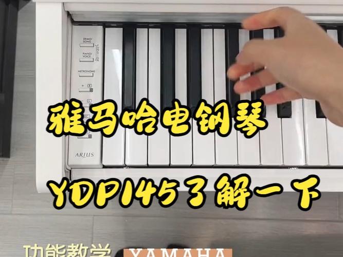 雅马哈电子琴延音键在哪里图标