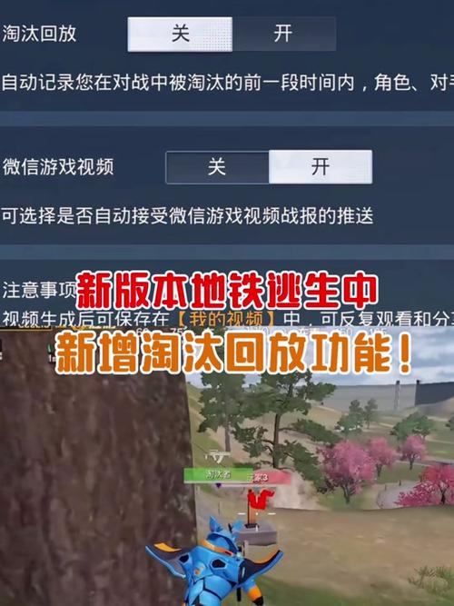 淘汰回放怎么开图标