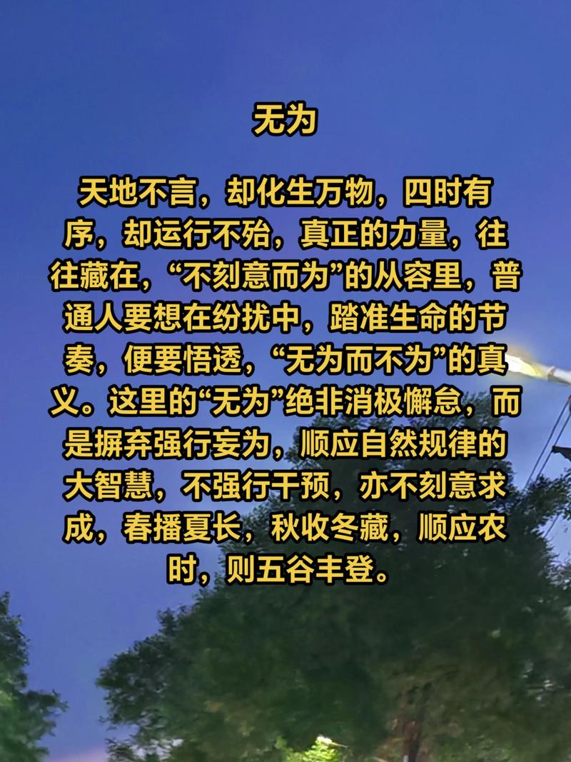 正版阿伟无为话图标