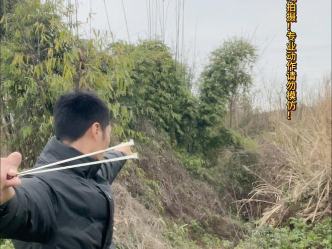 弹弓大拉图标