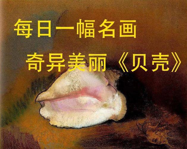 贝壳比喻什么女人图标