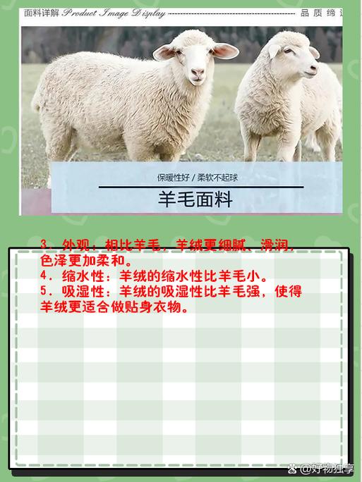 全世界最好的羊毛产地图标