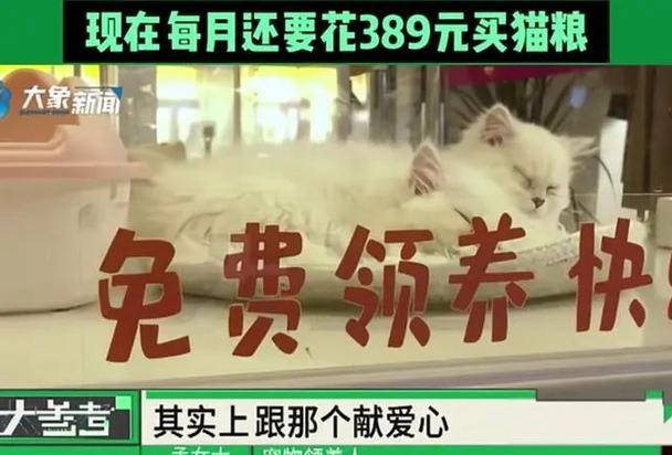 花猫贷款图标