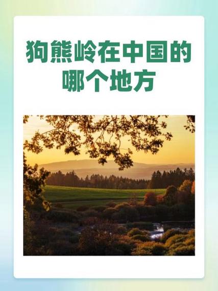 狗熊岭在哪里图标