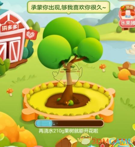 新版拼多多果园在哪截图