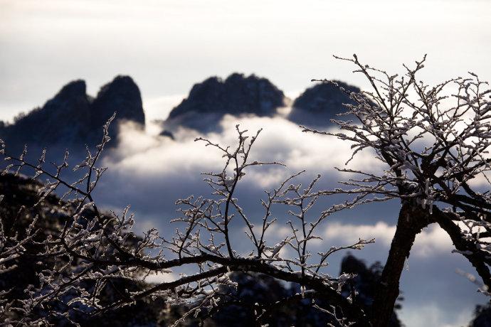好看的雪景图片唯美图标