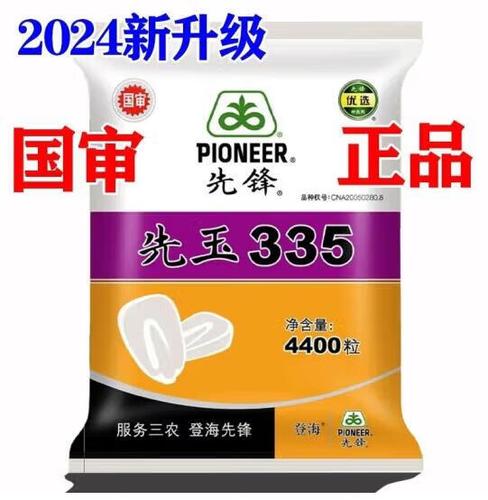 种子搜索p2p搜索神器图标