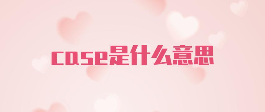 case的意思图标