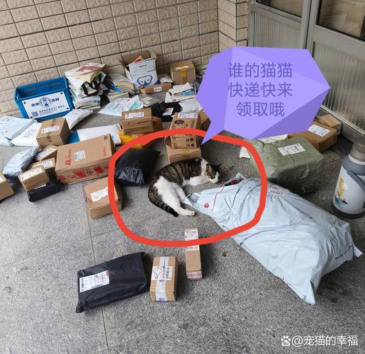 喵喜图标