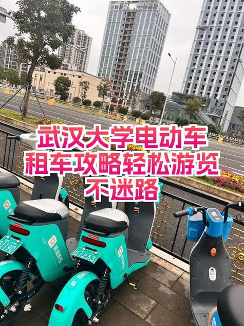 普洱租车多少钱一天图标