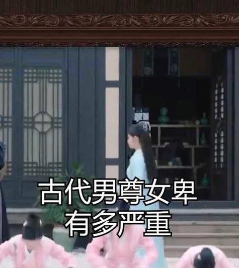 穿越男尊女贵妻主多夫图标