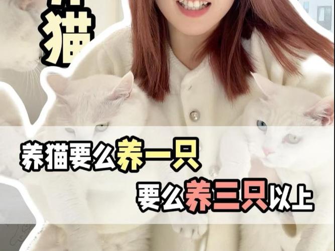 养猫不能养三只图标