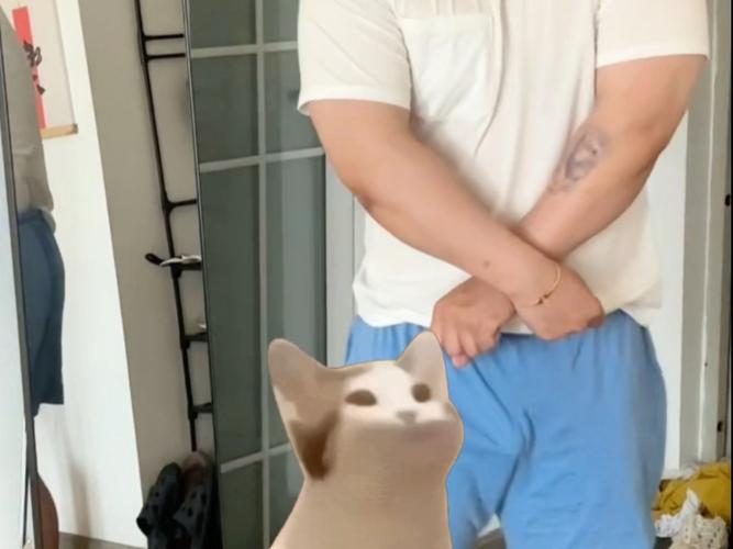 优熊帅猴图标
