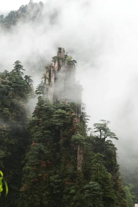 雾天山照片图标