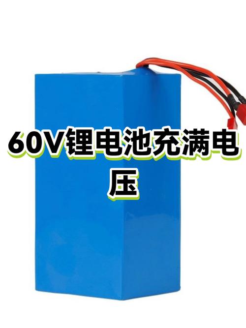 冬天60v充满电是多少伏截图