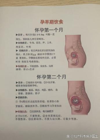 怀孕多久会孕吐图标