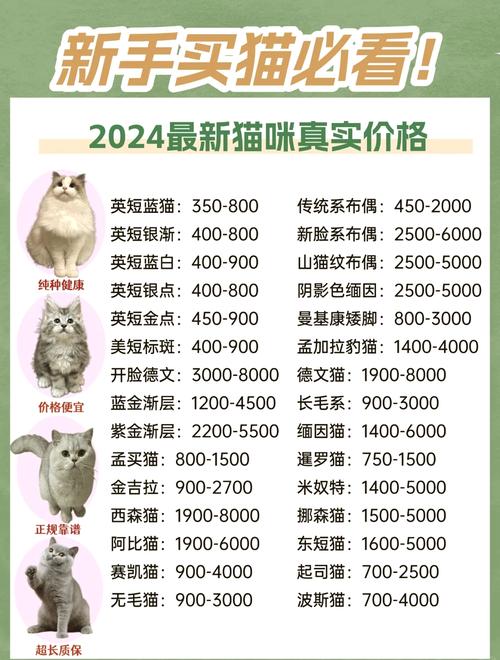 美短加白一般多少钱图标