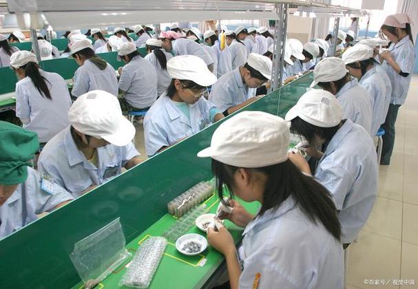工厂一般招本科生干啥截图