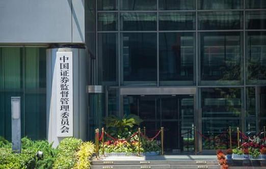 证监会网站官网图标