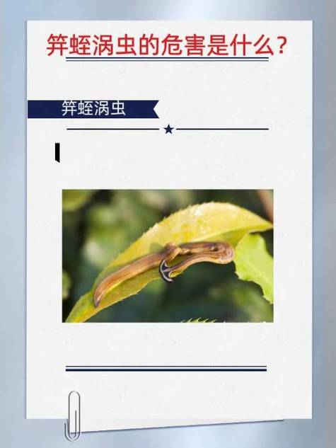 伸出蟑螂触须的图片图标