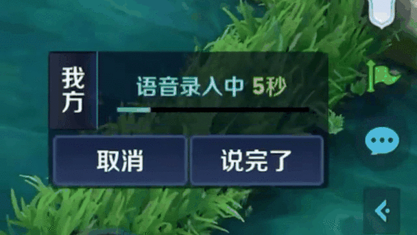 为什么王者语音别人听不到图标