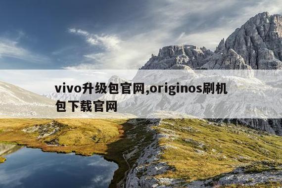 vivo刷机包官网下载专区图标