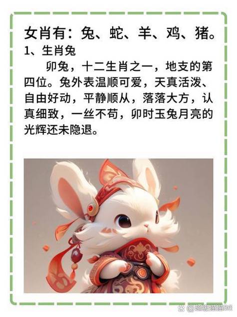 兔子比喻啥样的女人图标
