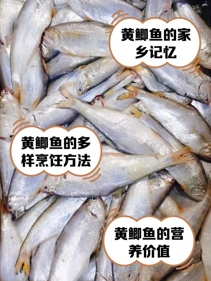 大黄鲫一般怎么用截图