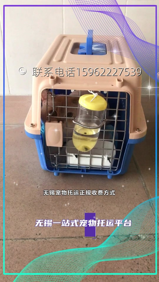 仓鼠托运要多少元截图