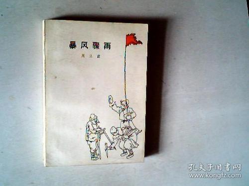 暴风骤雨作者图标