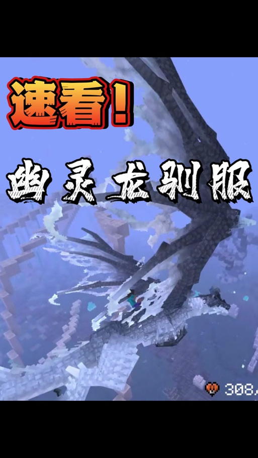 我的世界驯龙者图标