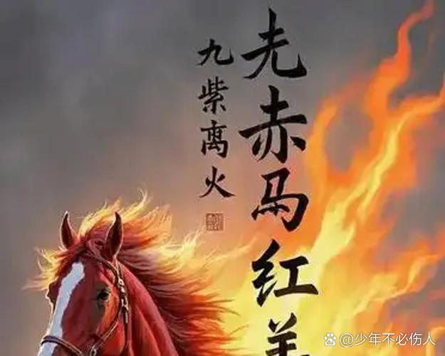 两火一言一文截图