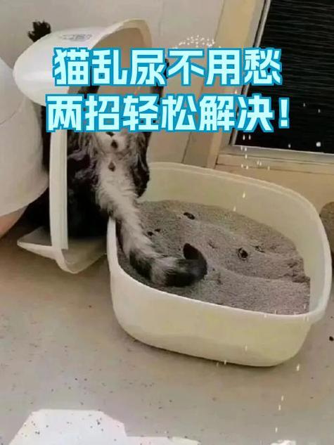 猫尿味太重一招消除图标