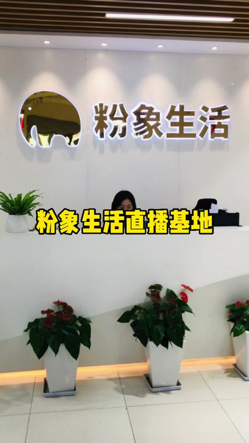 粉象升级条件图标