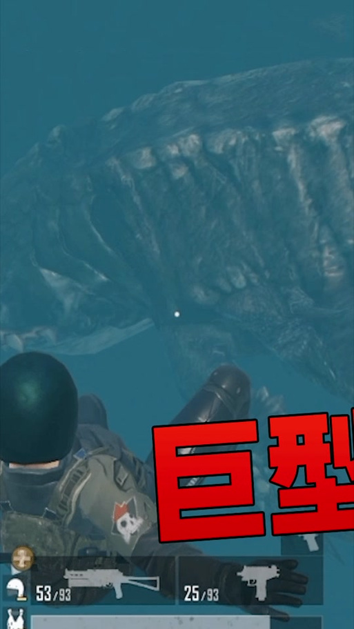 pubg 独角鲸直装版大全截图