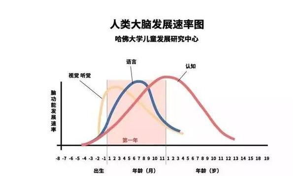 孩子的智商几岁定型截图