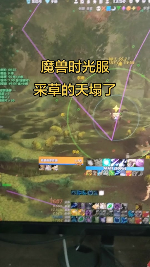 时光服采药1-450最快冲法图标