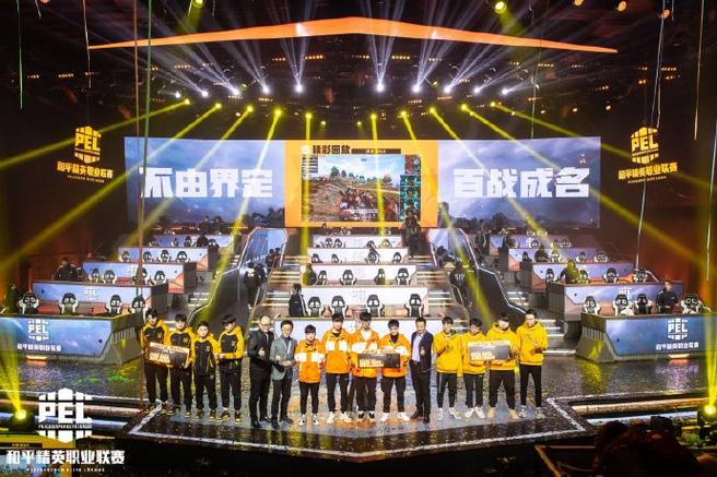 2019和平精英国际赛截图