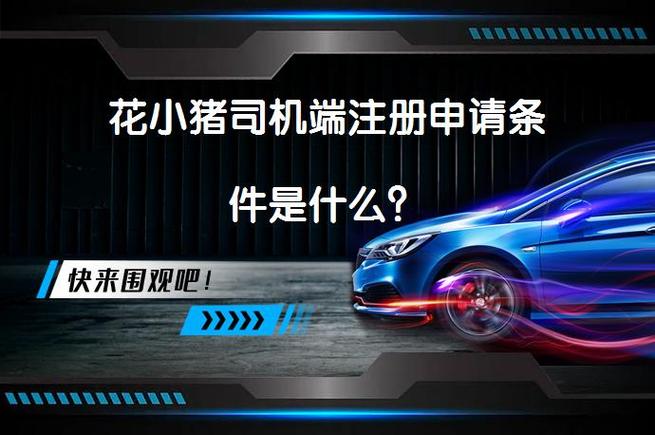 花小猪司机端截图