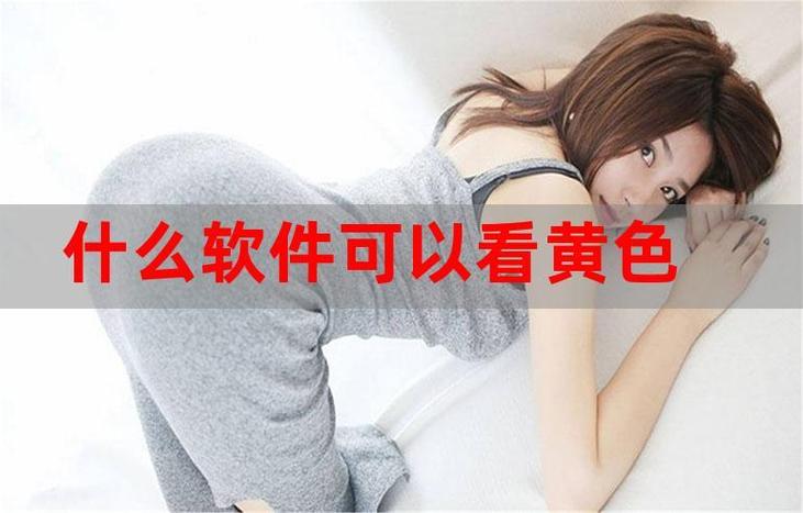 看黄的应用软件破解版截图