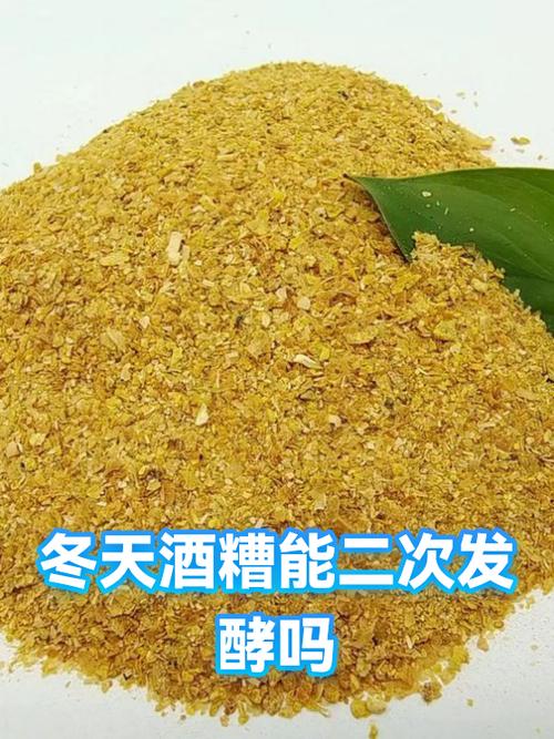 酒糟还能二次酿酒吗