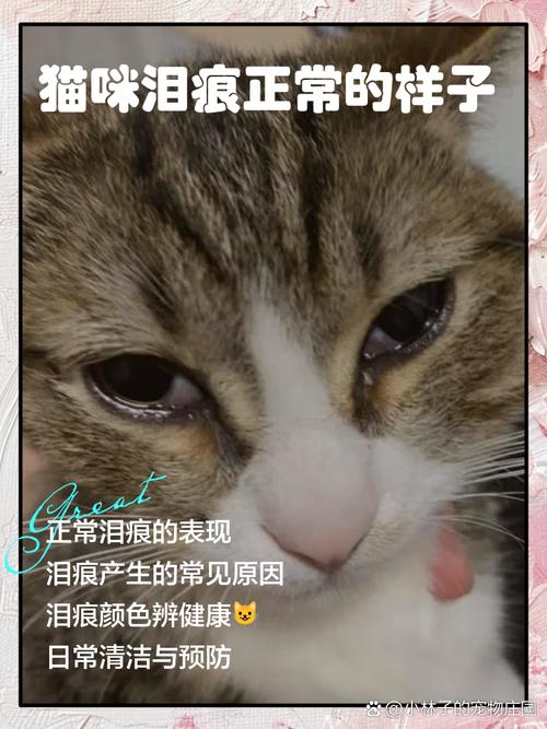 哭泣的头像女生 动漫图标