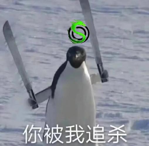 群主如何恢复解散微信群聊图标
