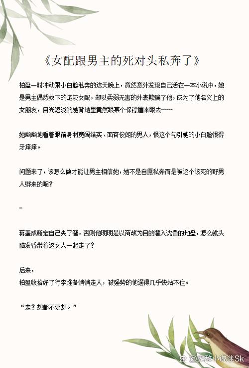 言情男主出轨女配图标