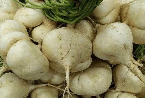 豆薯相克的食物图标